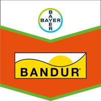 Bandur®